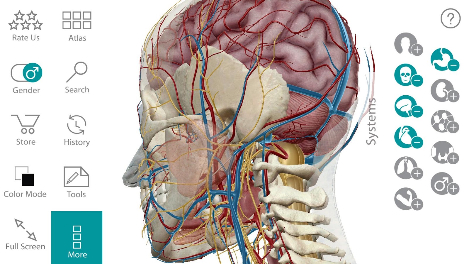 Visible Body 3d Human Anatomy Atlas Download Politicalvast