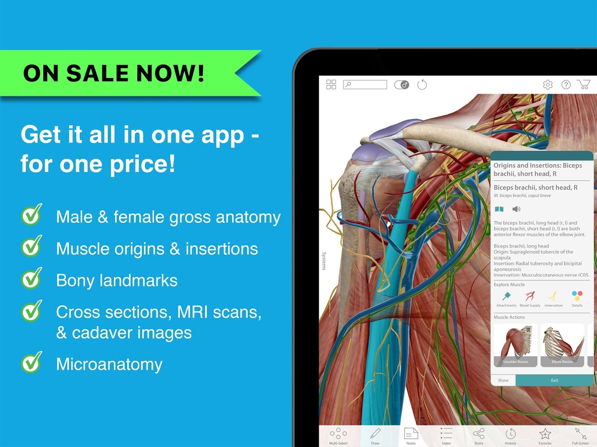 Download Human Anatomy Atlas 2017 2018 5 47 APK For Android Appvn Android Download Human Anatomy Atlas 2017 2018 5 47 APK For Android Appvn Android